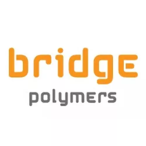 Bridge Polymers